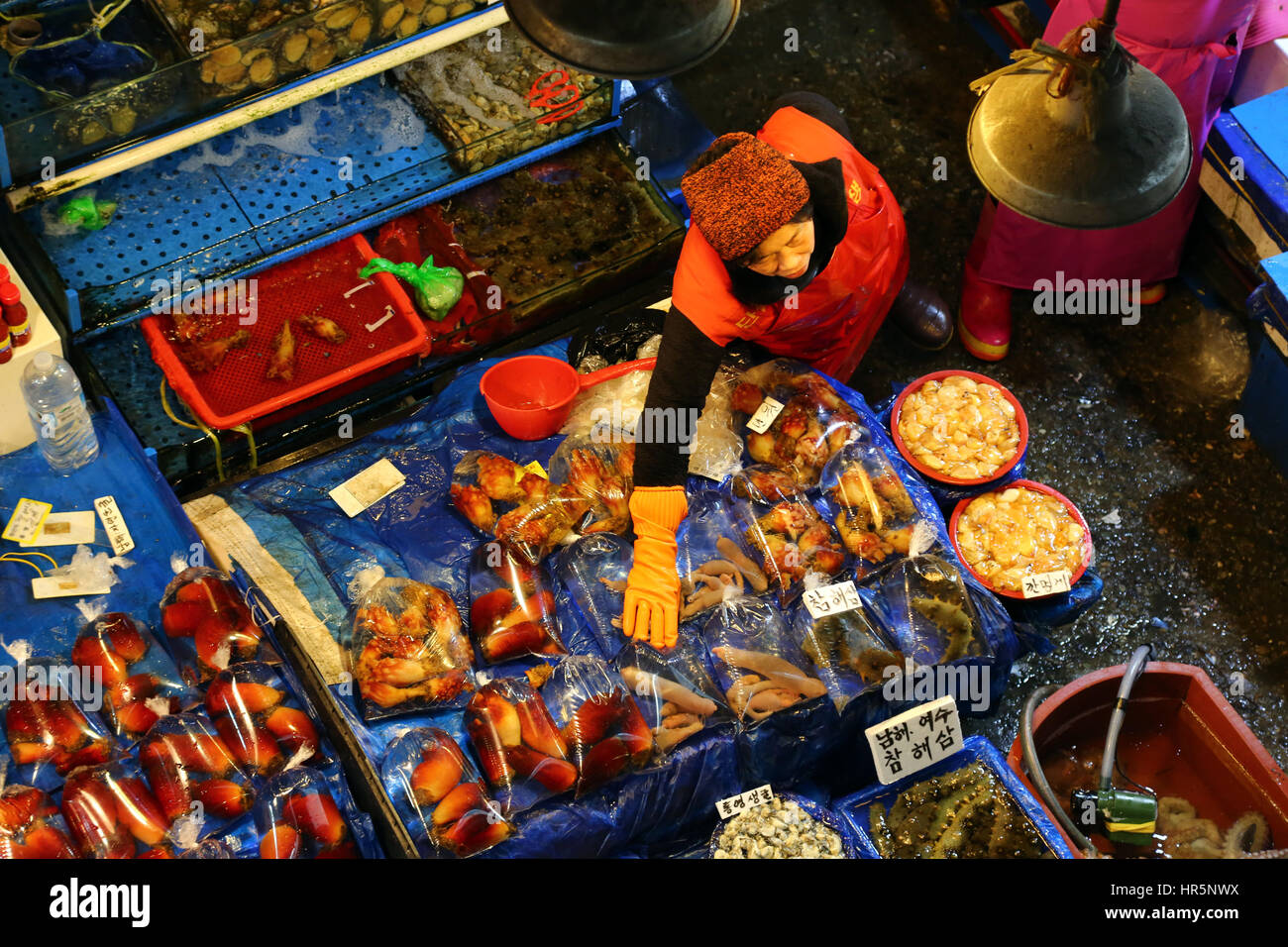 Stalls at Noryangjin Fish and Seafood Market in Seoul, Korea Stock ...