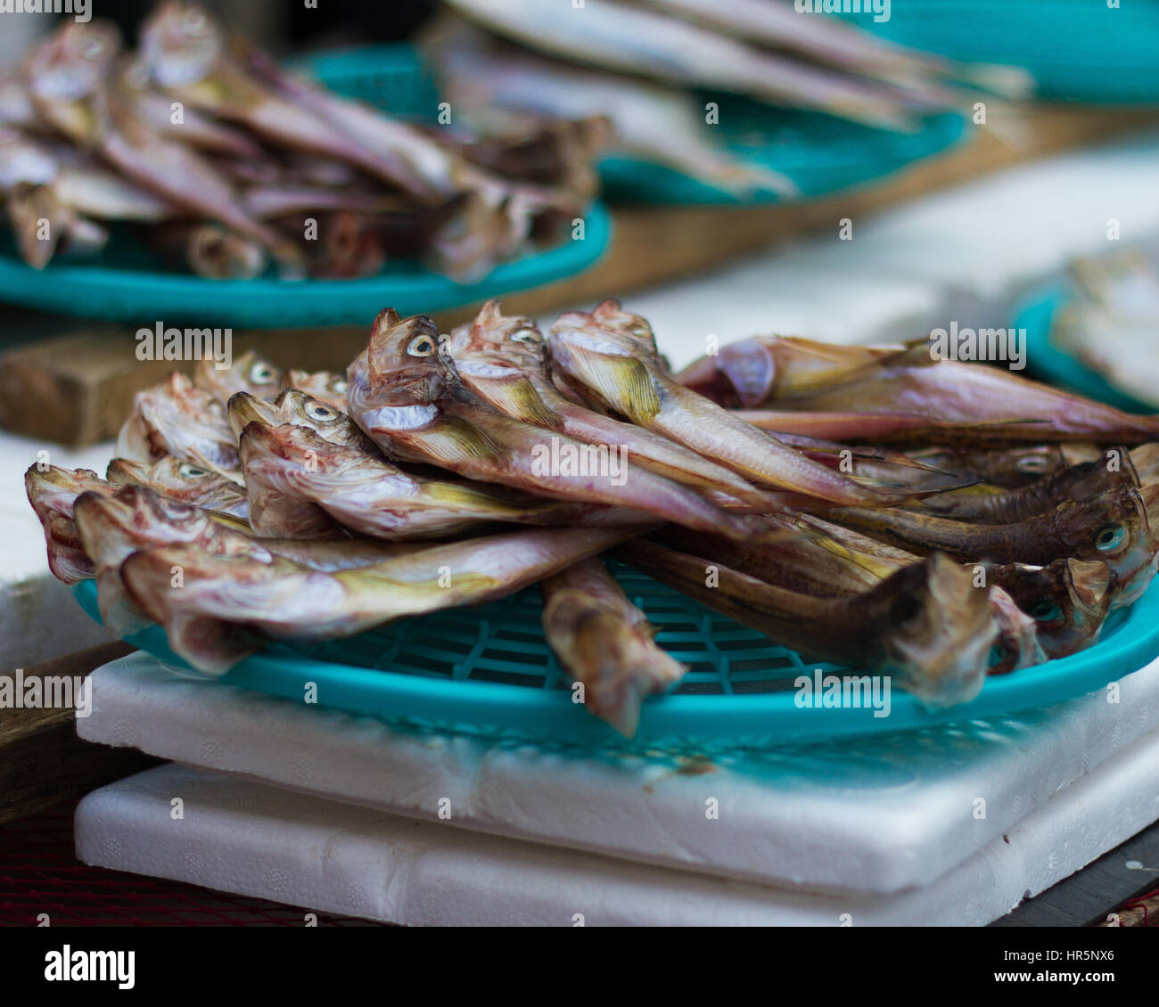 fresh fish at Jagalchi market in Busan, South Korea Stock Photo - Alamy