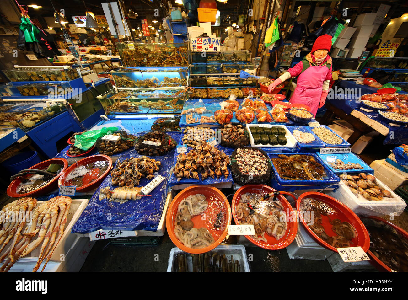 Stalls at Noryangjin Fish and Seafood Market in Seoul, Korea Stock ...