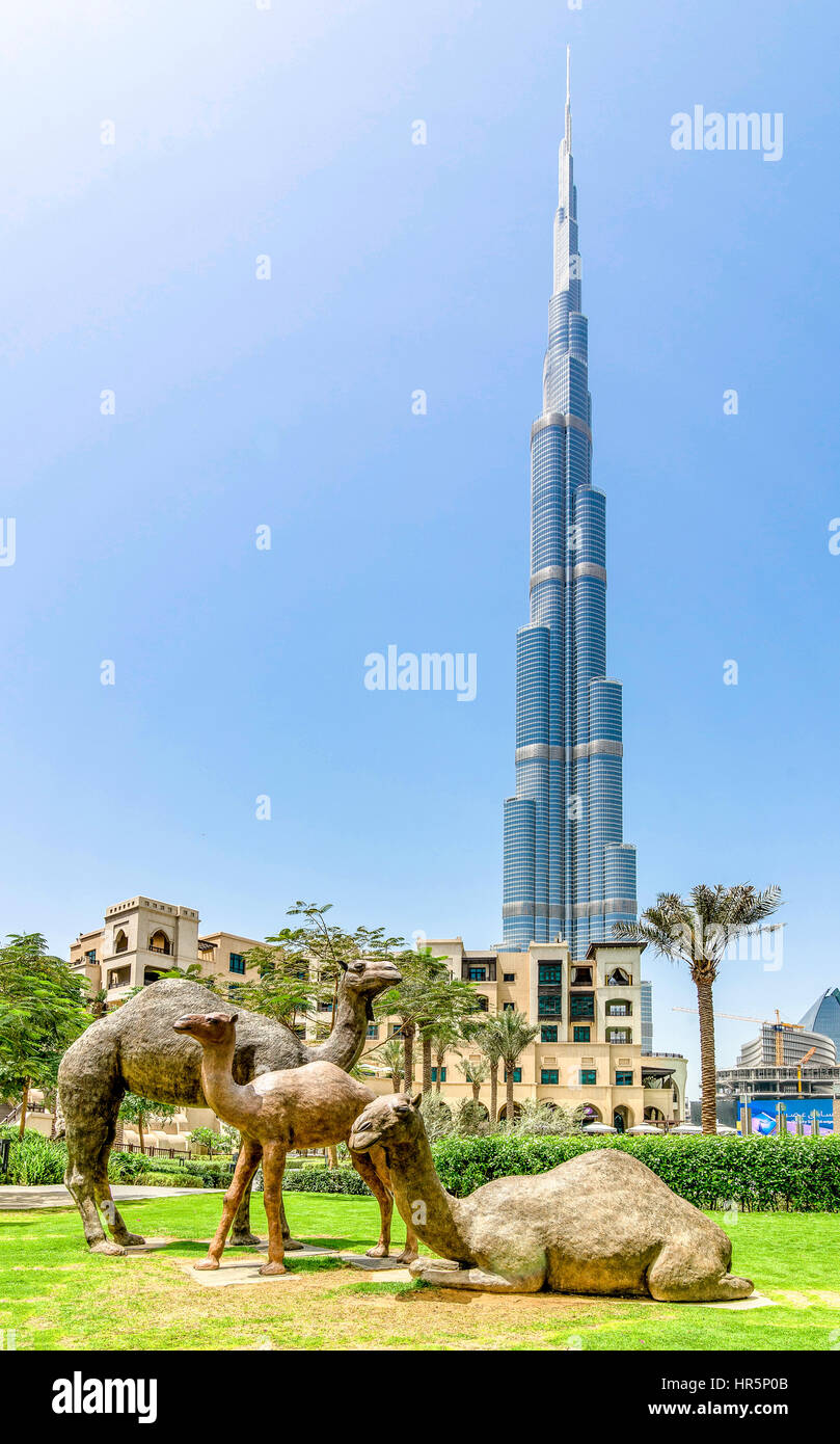 Camel statue dubai hi-res stock photography and images - Alamy