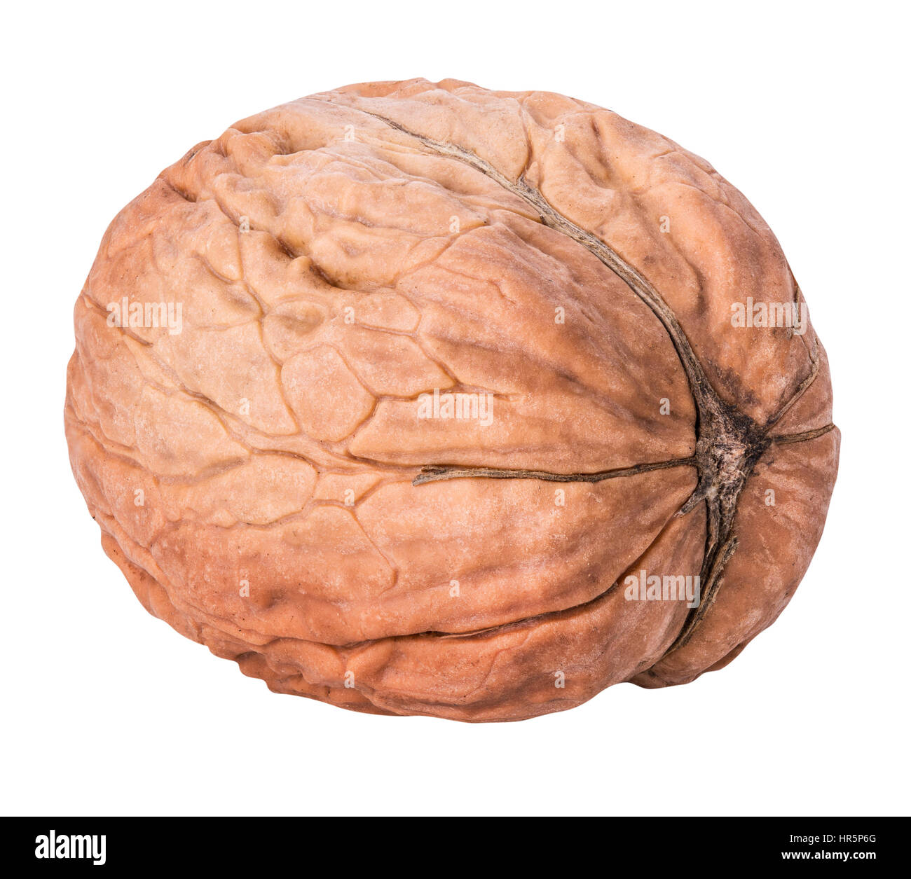 walnut isolated on white background with clipping path Stock Photo - Alamy