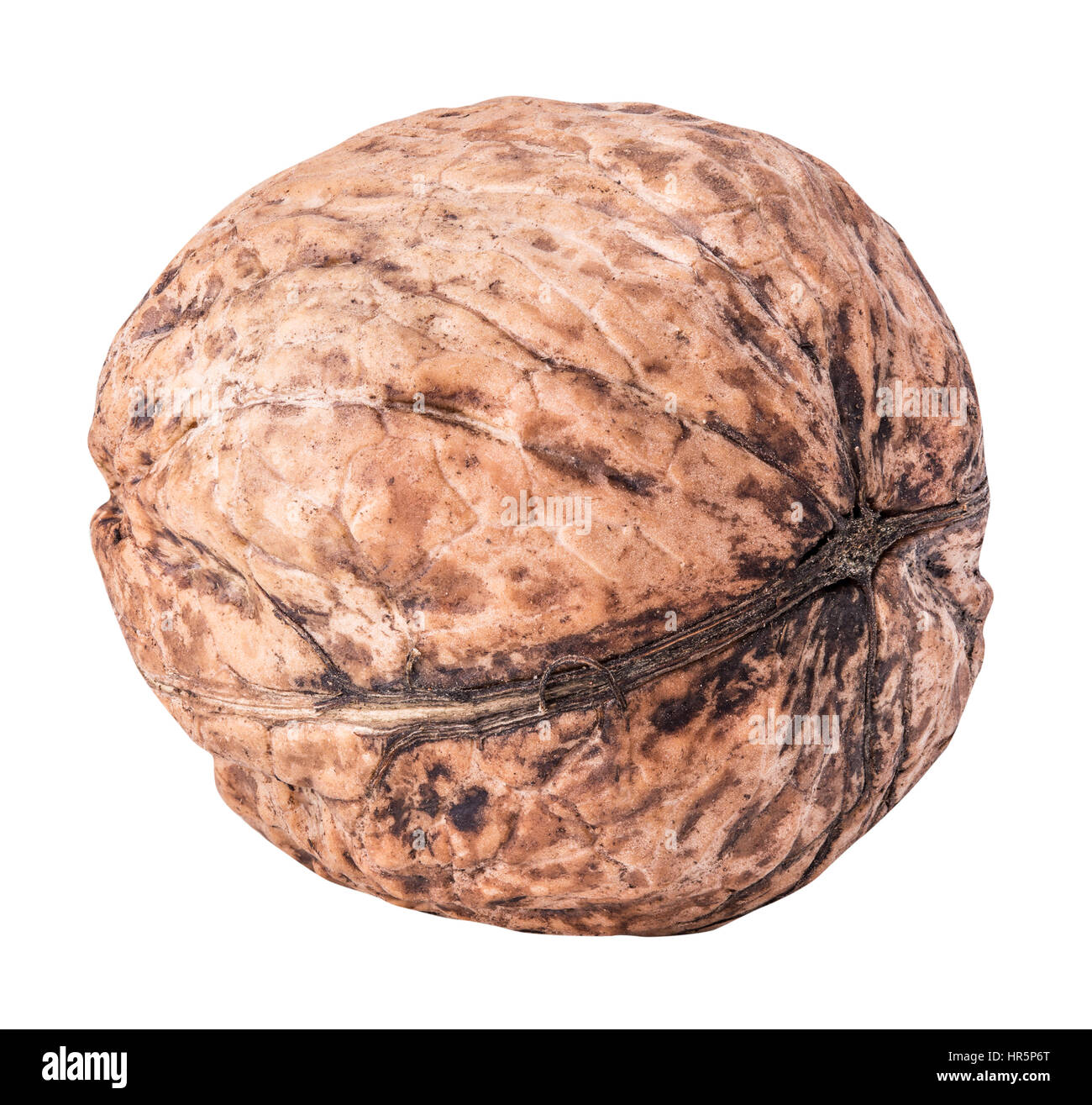 walnut isolated on white background with clipping path Stock Photo - Alamy