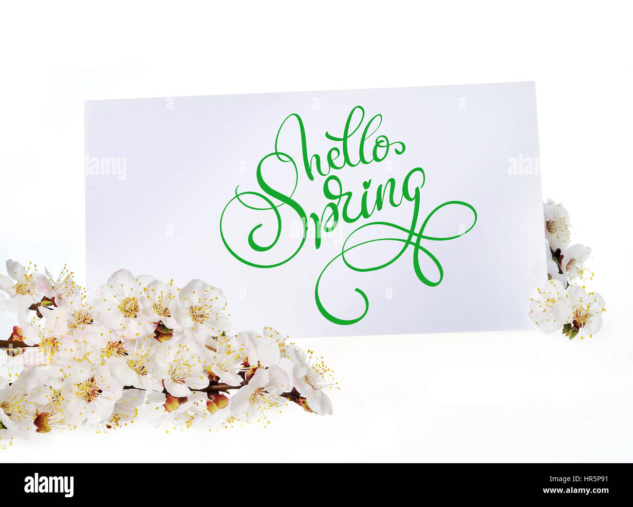 Spring greeting card with white flowers and text Hello Spring ...