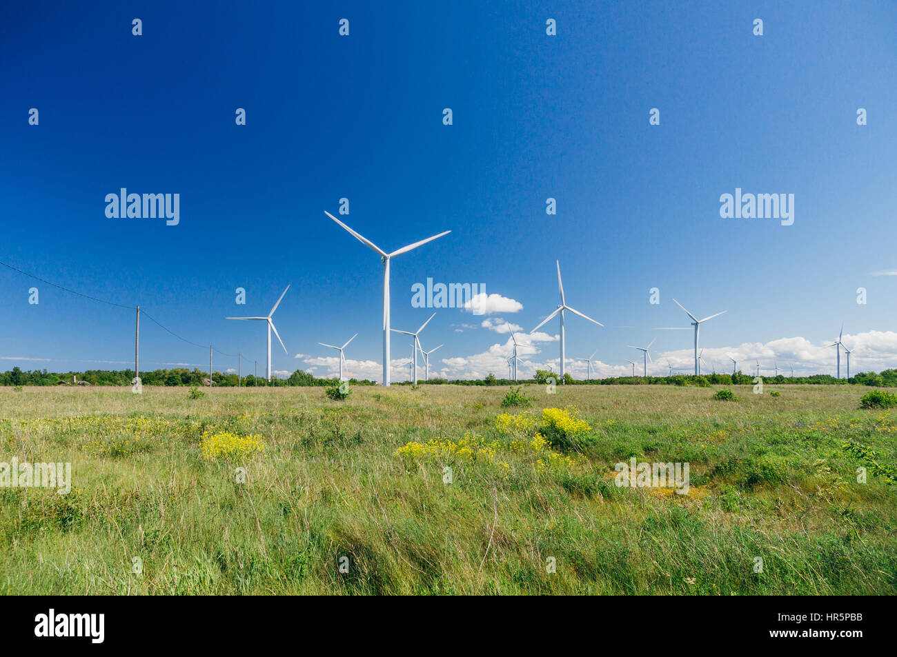 Meadow wind turbines generating hi-res stock photography and images - Alamy