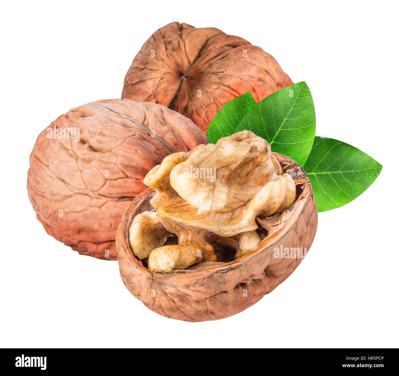 walnut isolated on white background with clipping path Stock Photo - Alamy