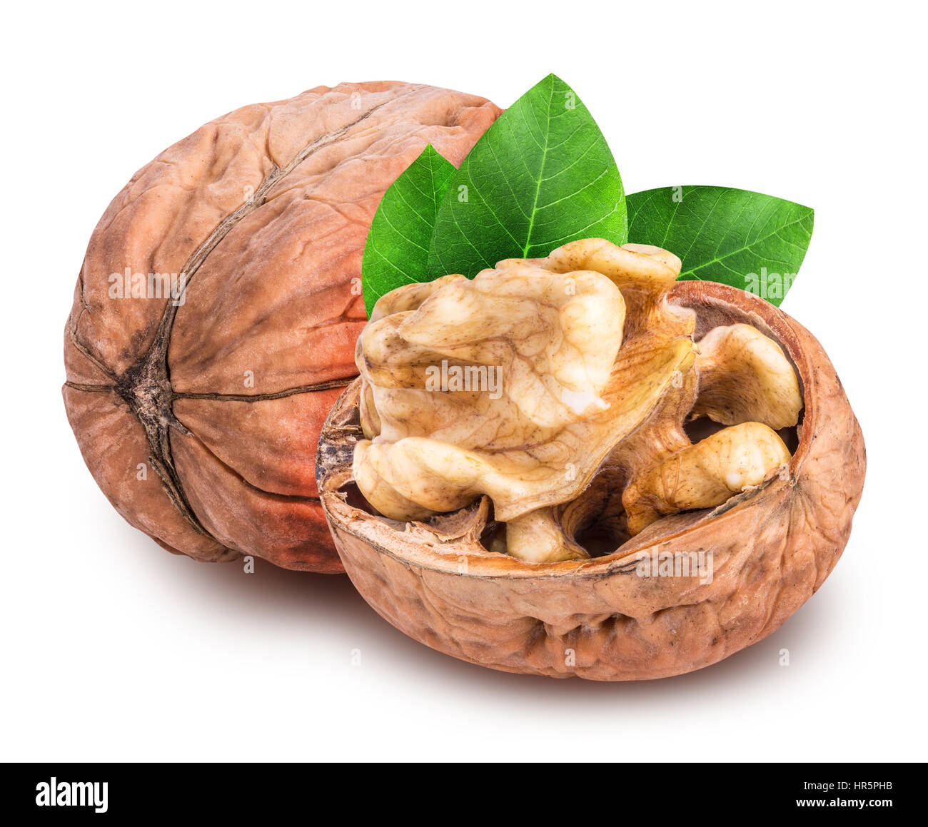 walnut isolated on white background with clipping path Stock Photo - Alamy