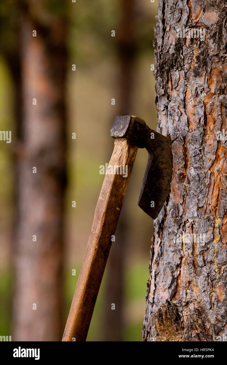 Rusty old axe in forest hi-res stock photography and images - Alamy