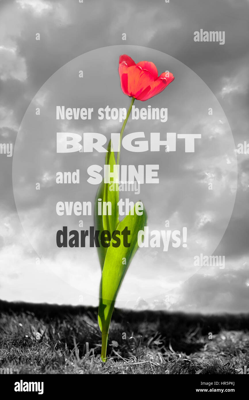 Vertical Wallpapers Quotes