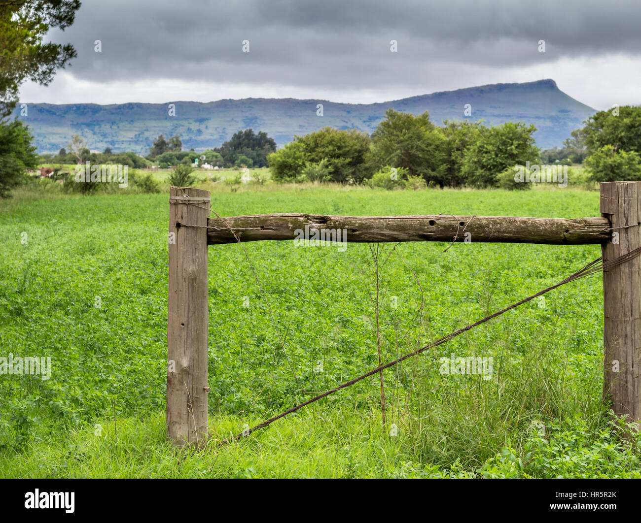 Weathered wood pole fence in green paddock with cloud sky Stock Photo ...