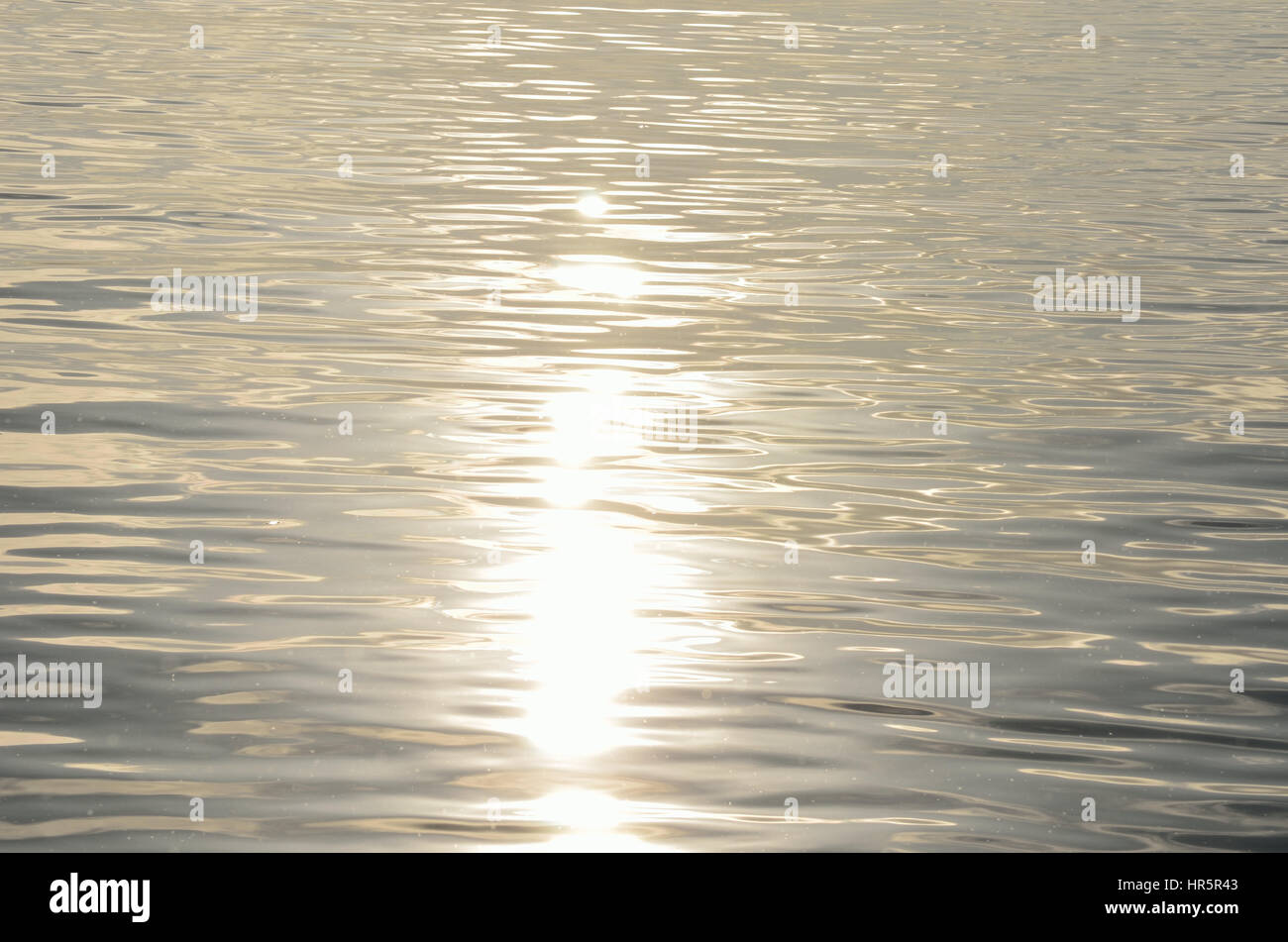 calm golden sunshine reflection on sea surface background Stock Photo ...