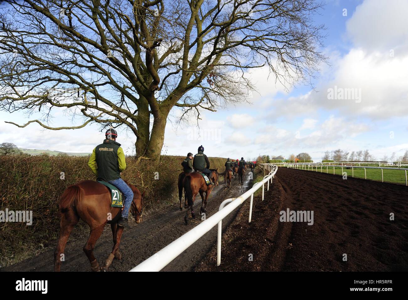 General view of horses on the gallops during a visit to Willie Mullins ...