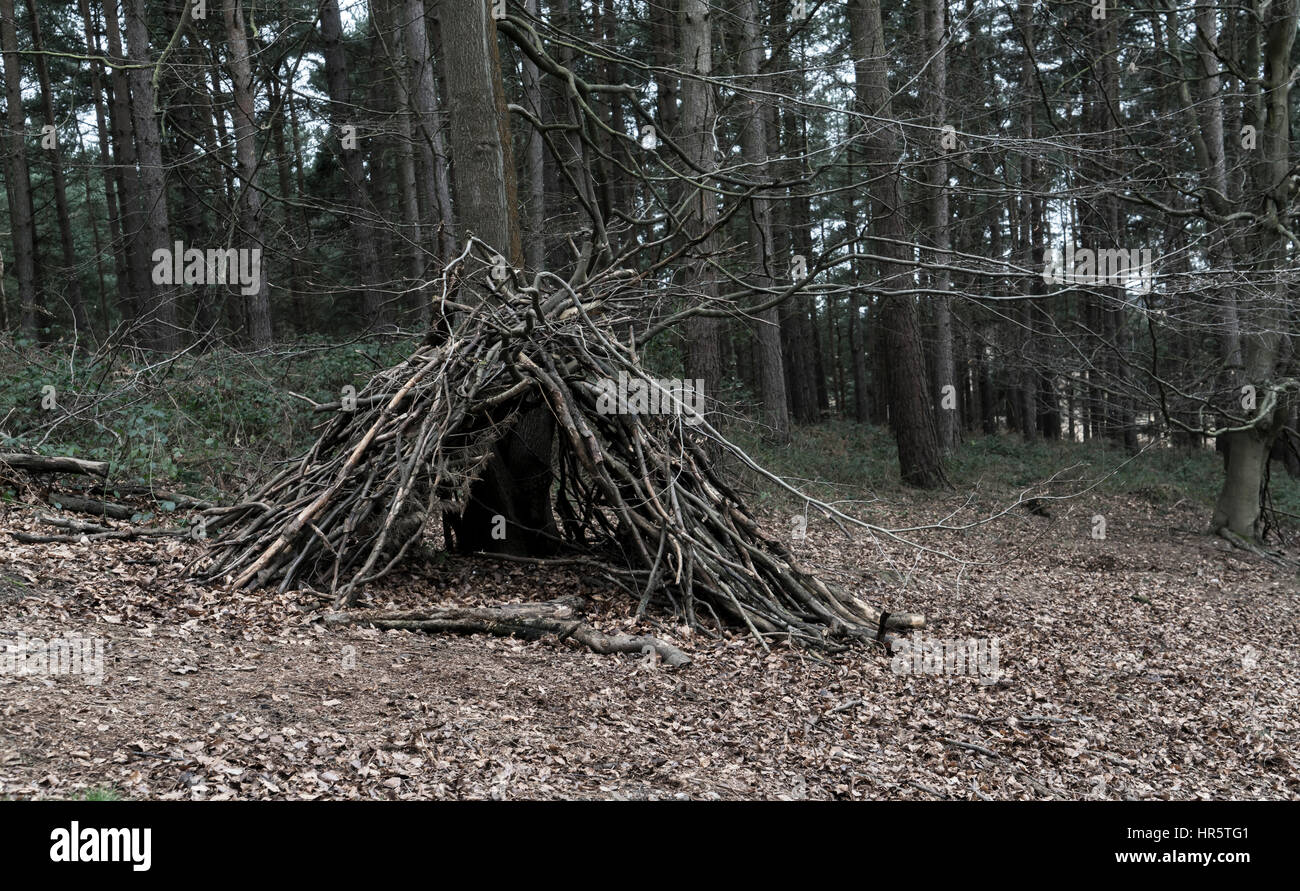 Den building forest hi-res stock photography and images - Alamy