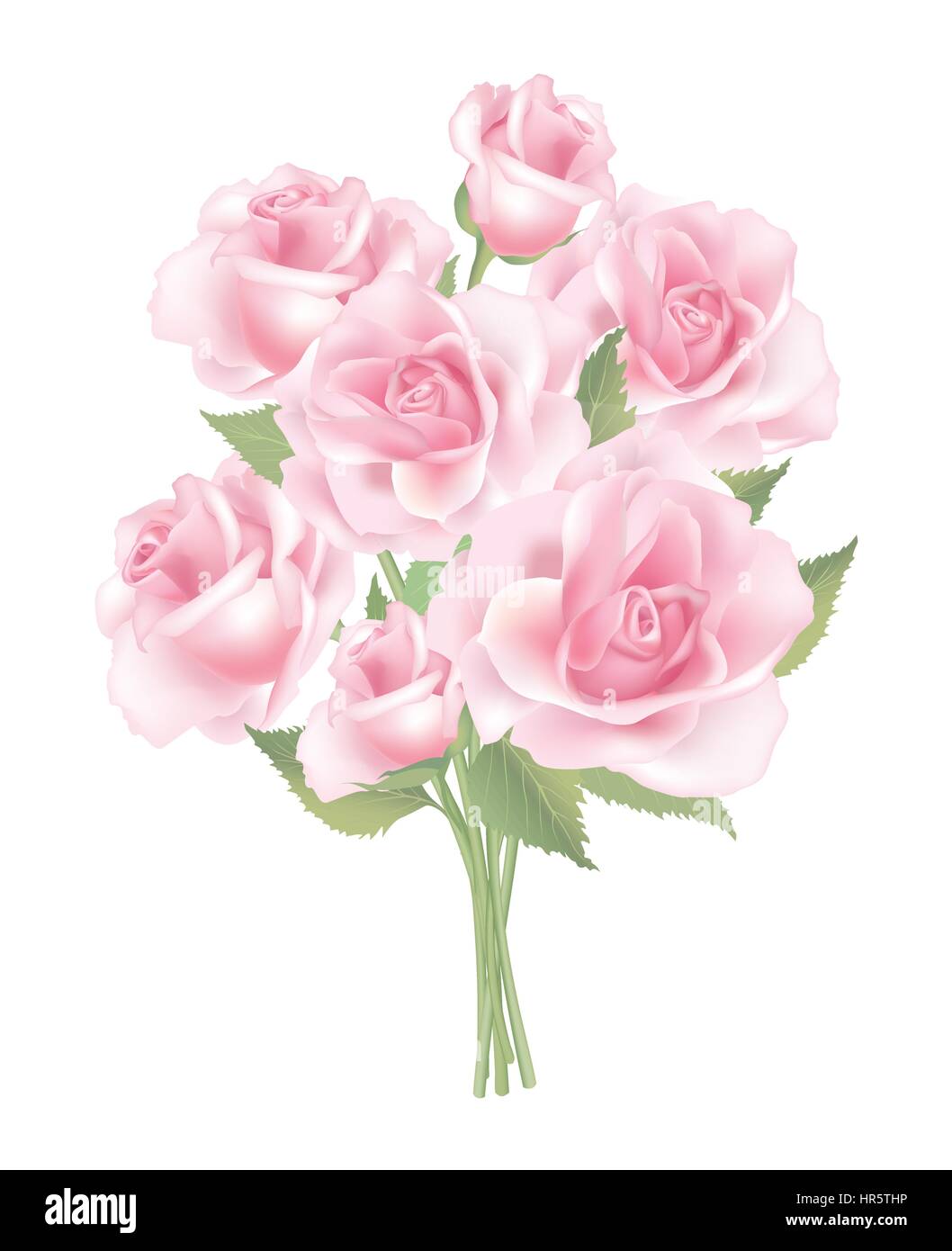 Flower rose posy isolated on white background Stock Vector Image & Art ...