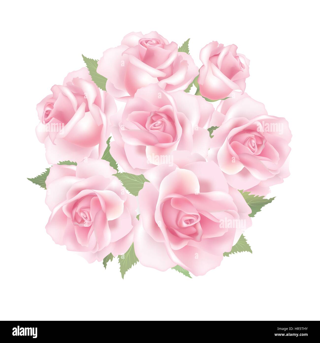 Flower rose posy isolated on white background Stock Vector Image & Art ...