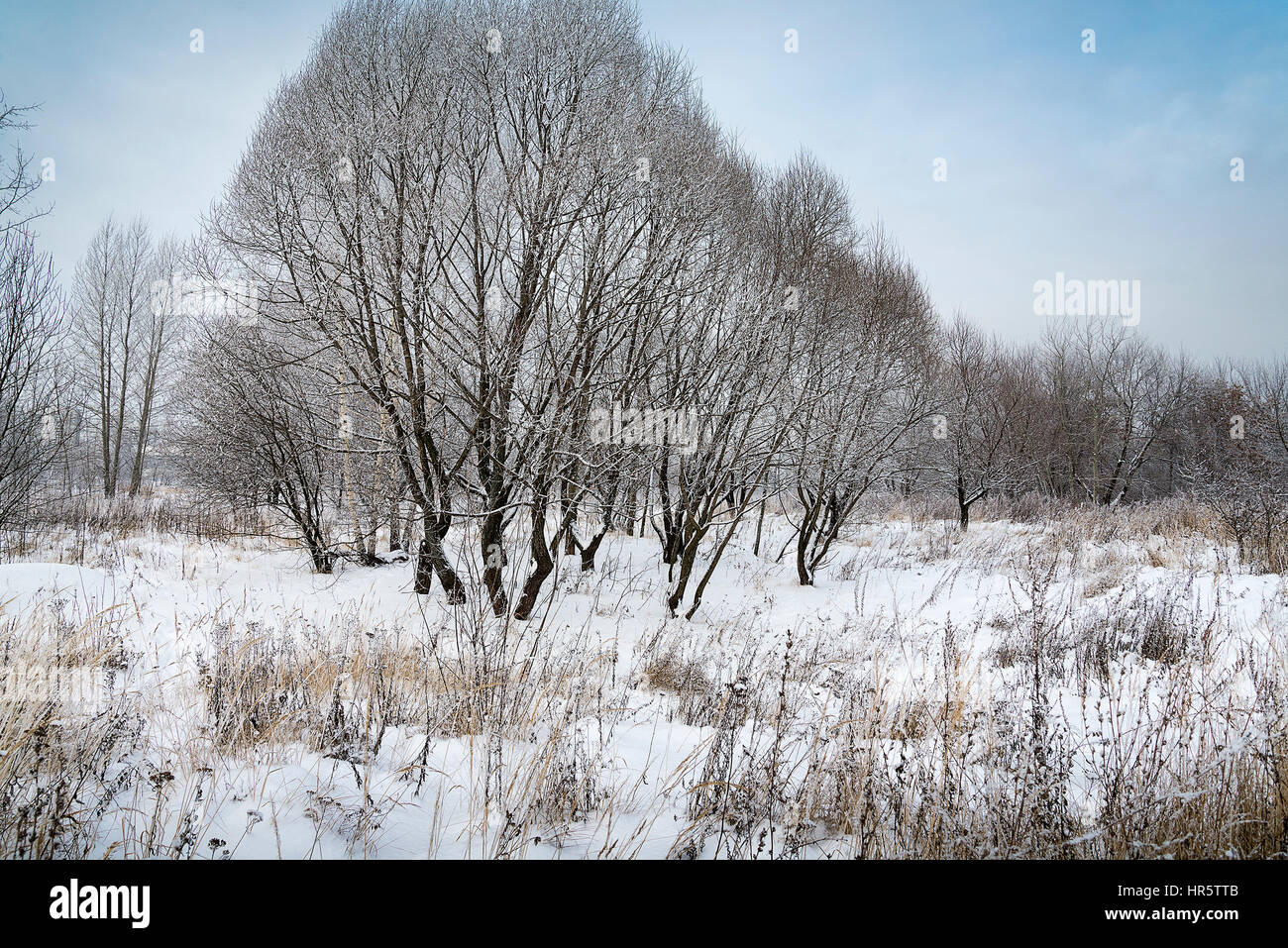 Beautiful landscape of the wilderness Stock Photo - Alamy