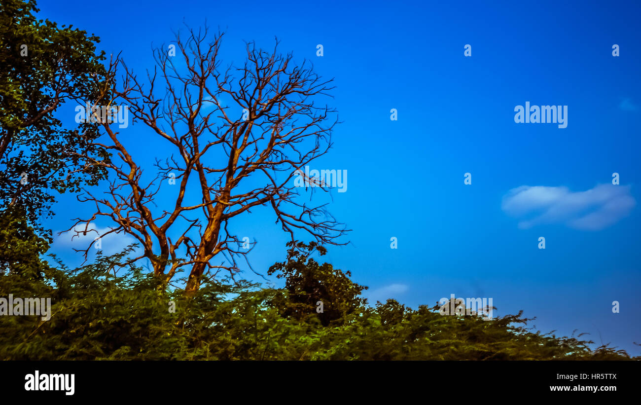 Beautiful shots of nature hi-res stock photography and images - Alamy