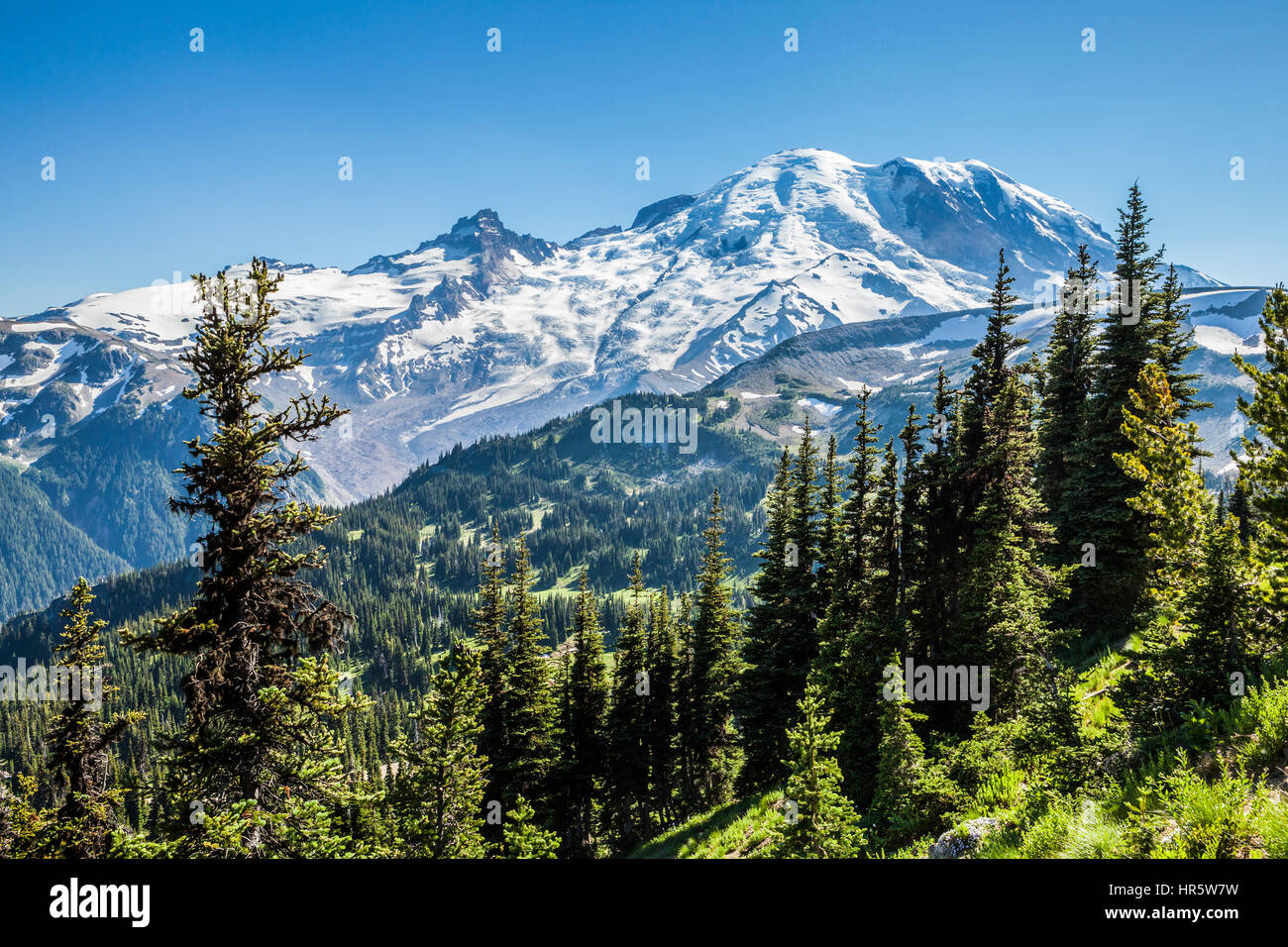 Mt ranier national park hi-res stock photography and images - Alamy