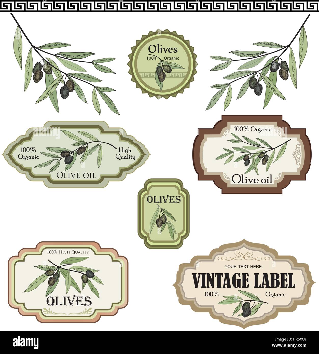 Vintage olive labels set. Organic food colored sketch sign set ...