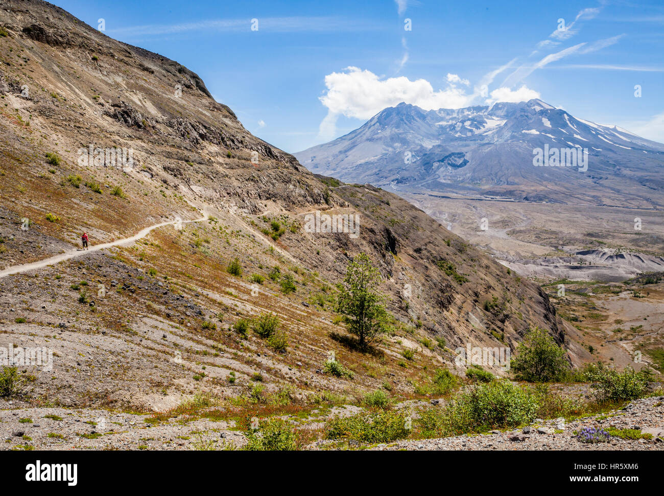 A woman hiker on the Johnston Ridge Trail, Mount St. Helens National ...