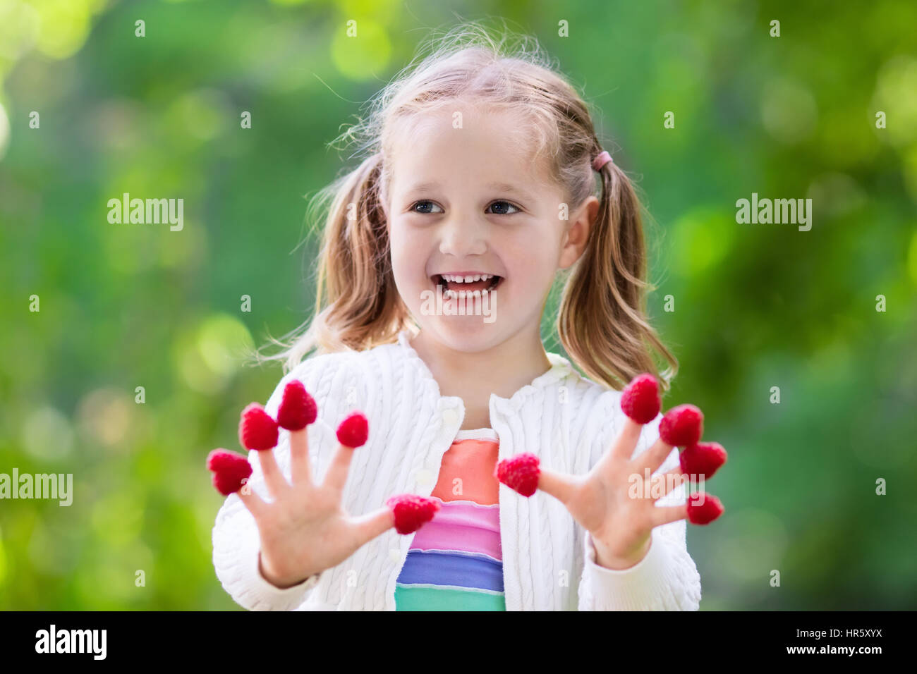 Child picking raspberry. Kids pick fresh fruit on organic raspberries ...