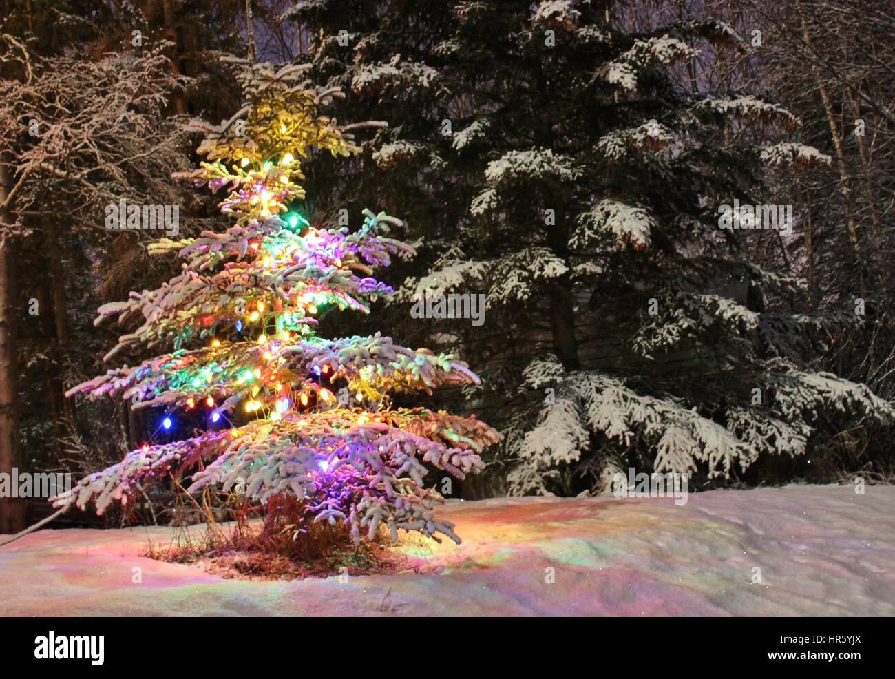 Alaska night snow christmas hi-res stock photography and images - Alamy
