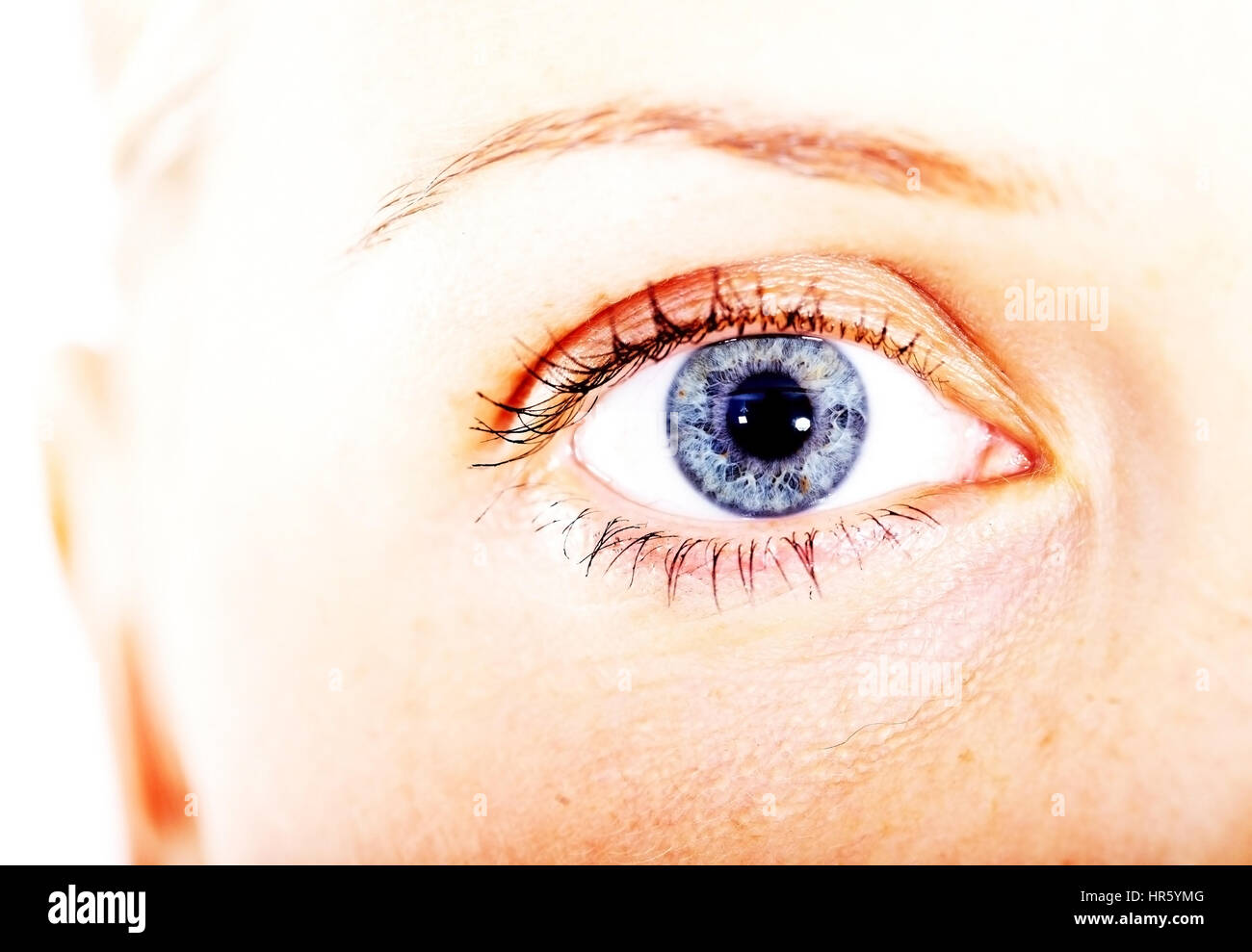 beautiful blue eye close up over exposed over a white background Stock ...