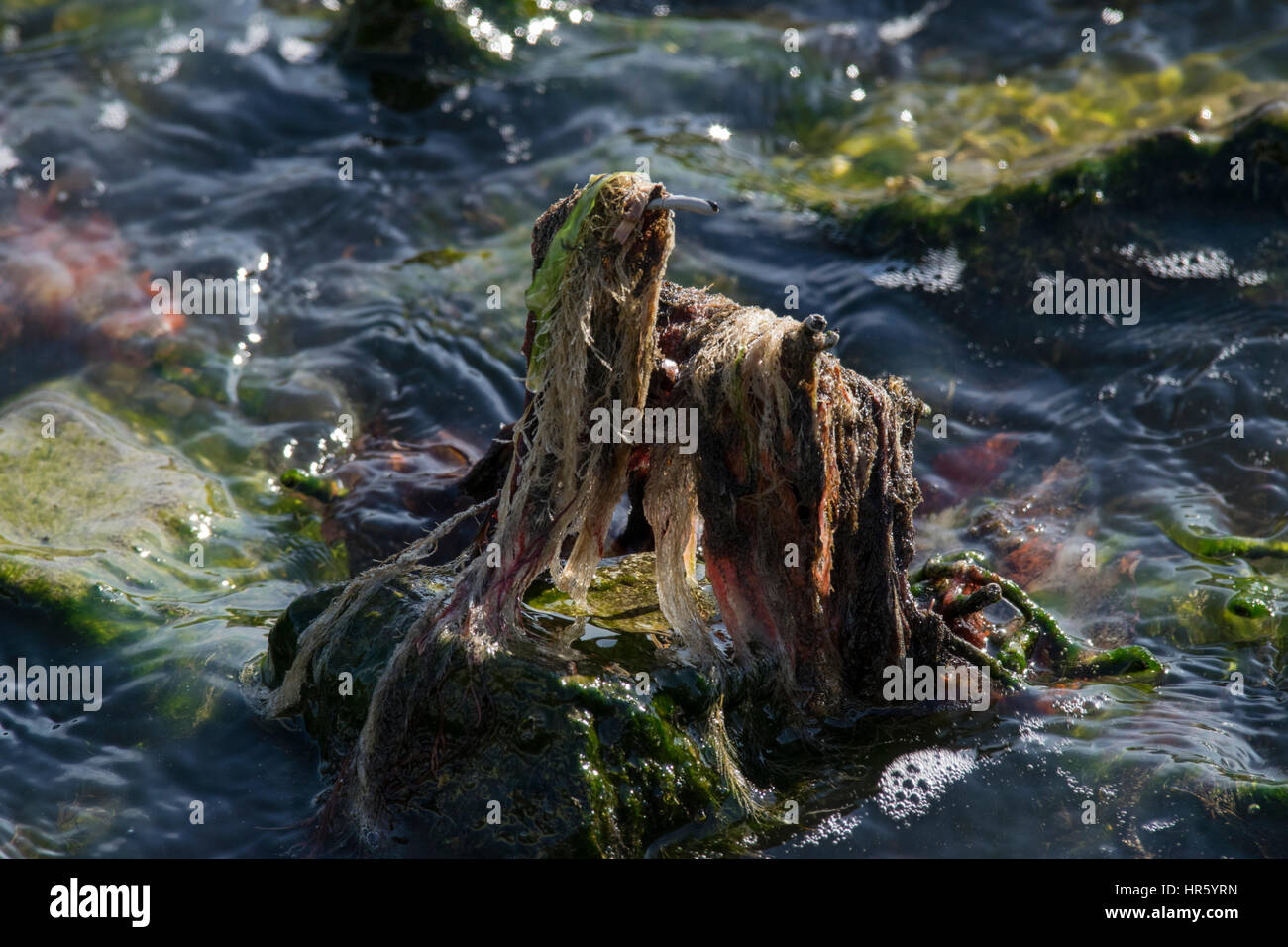 Snagged fabric hi-res stock photography and images - Alamy