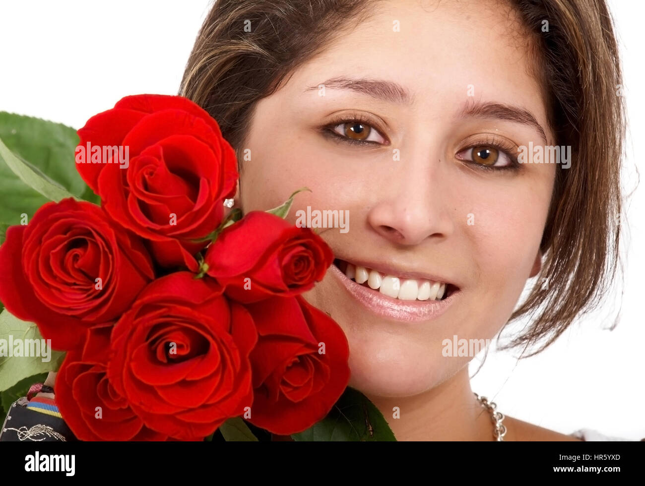 American beauty roses hi-res stock photography and images - Alamy