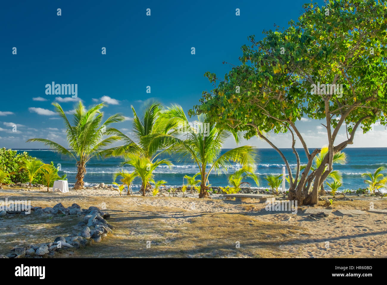 Surfer’s beach cayman hi-res stock photography and images - Alamy