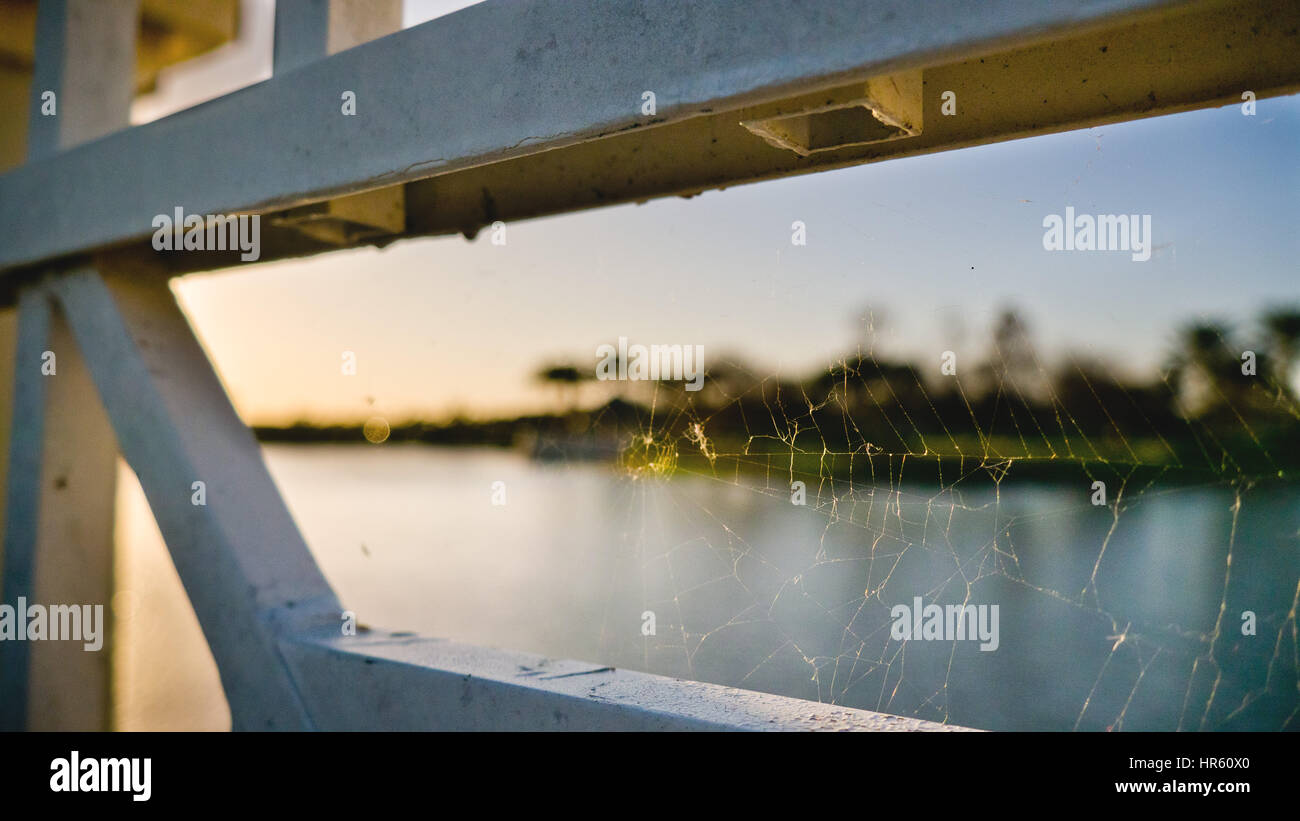 Spider Web Holding it Together Stock Photo - Alamy