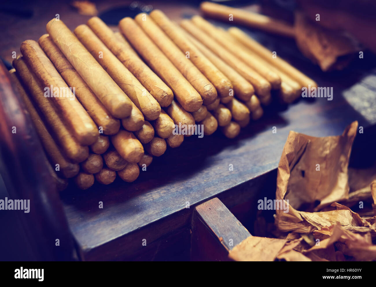 Stock of handmade cigars.Traditional manufacture of cigars. Dominican ...