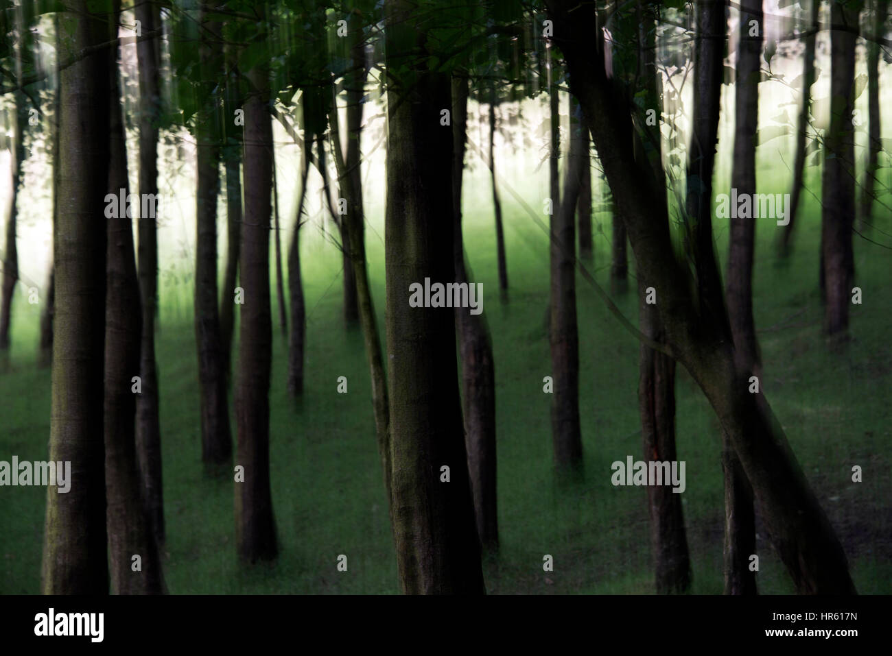 Blurred movement trees hi-res stock photography and images - Alamy