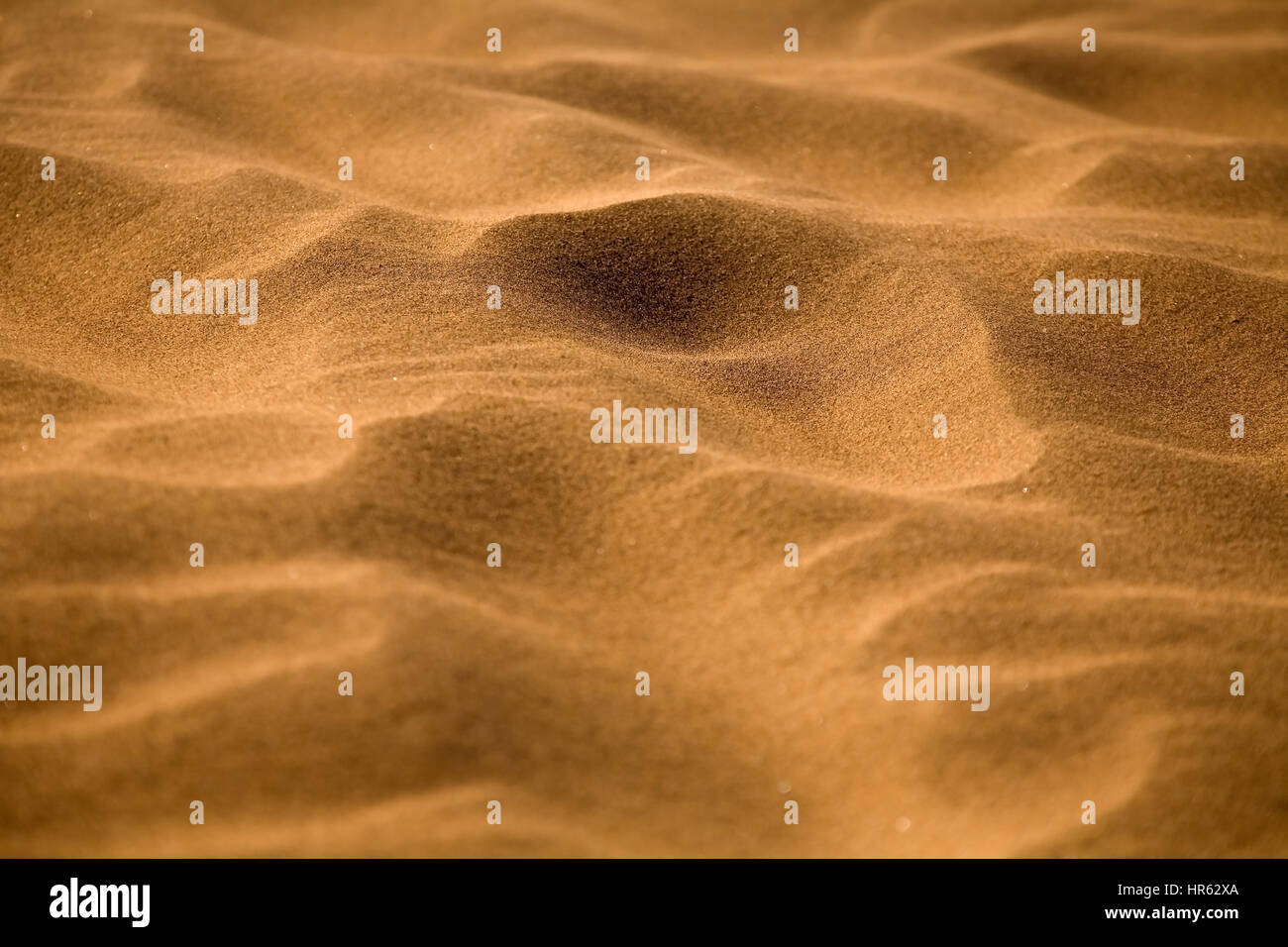 sand beach texture close up in nice yellow and orange colours Stock ...