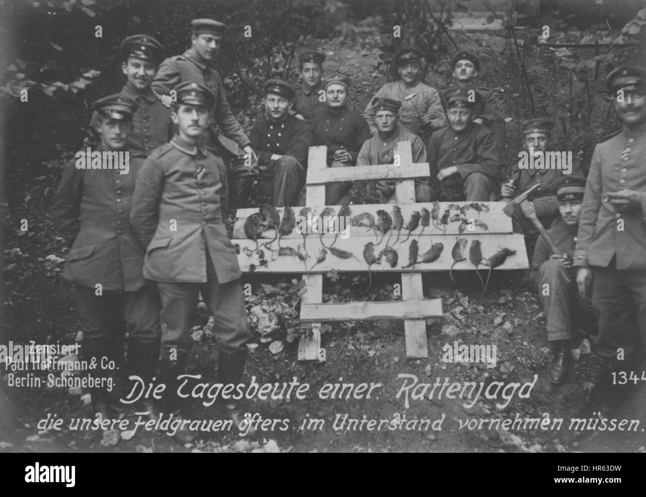 World War 1 Trenches Rats