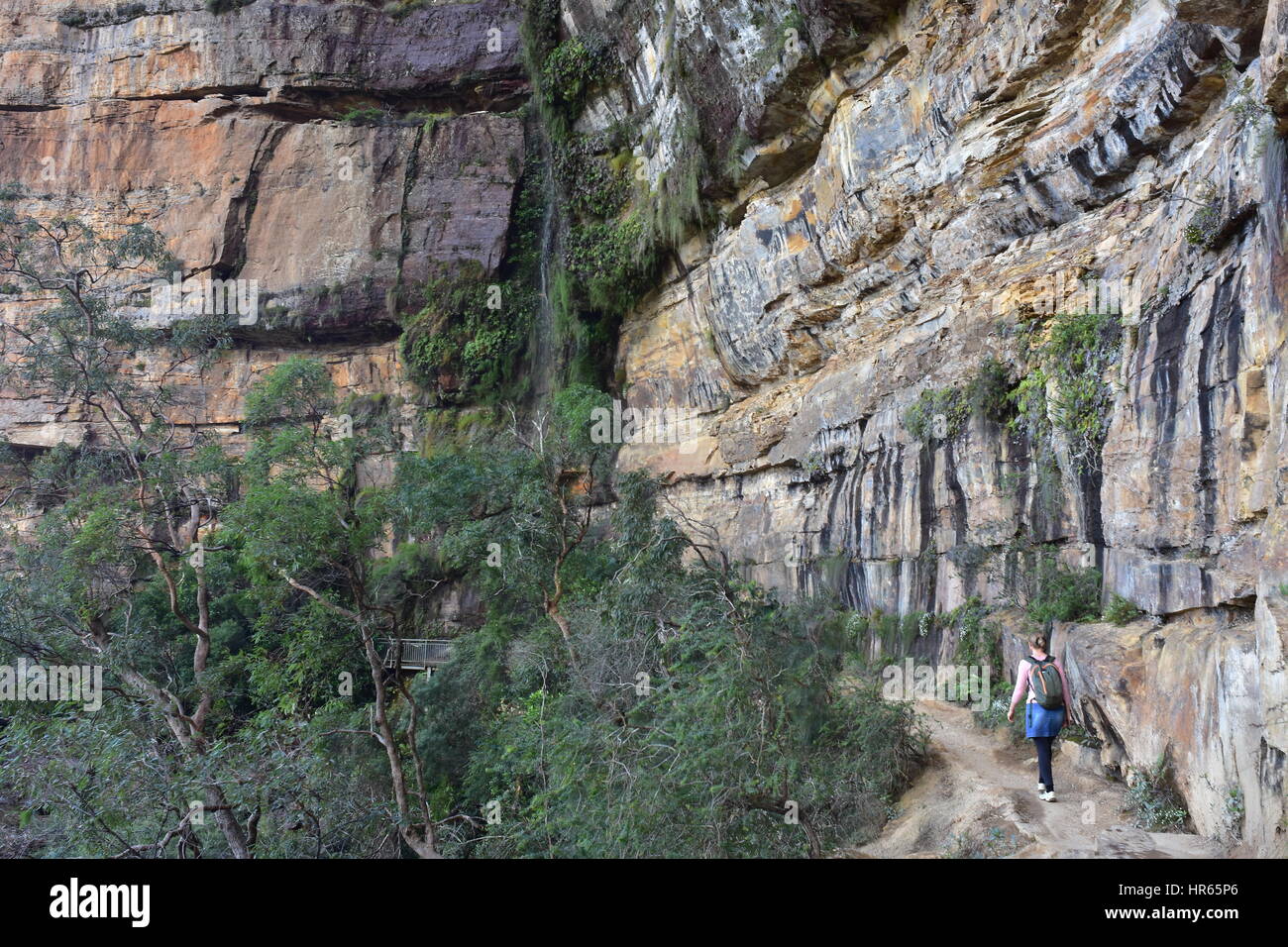 Female hiker under tall rocky cliff in Blue Mountains near Katoomba ...