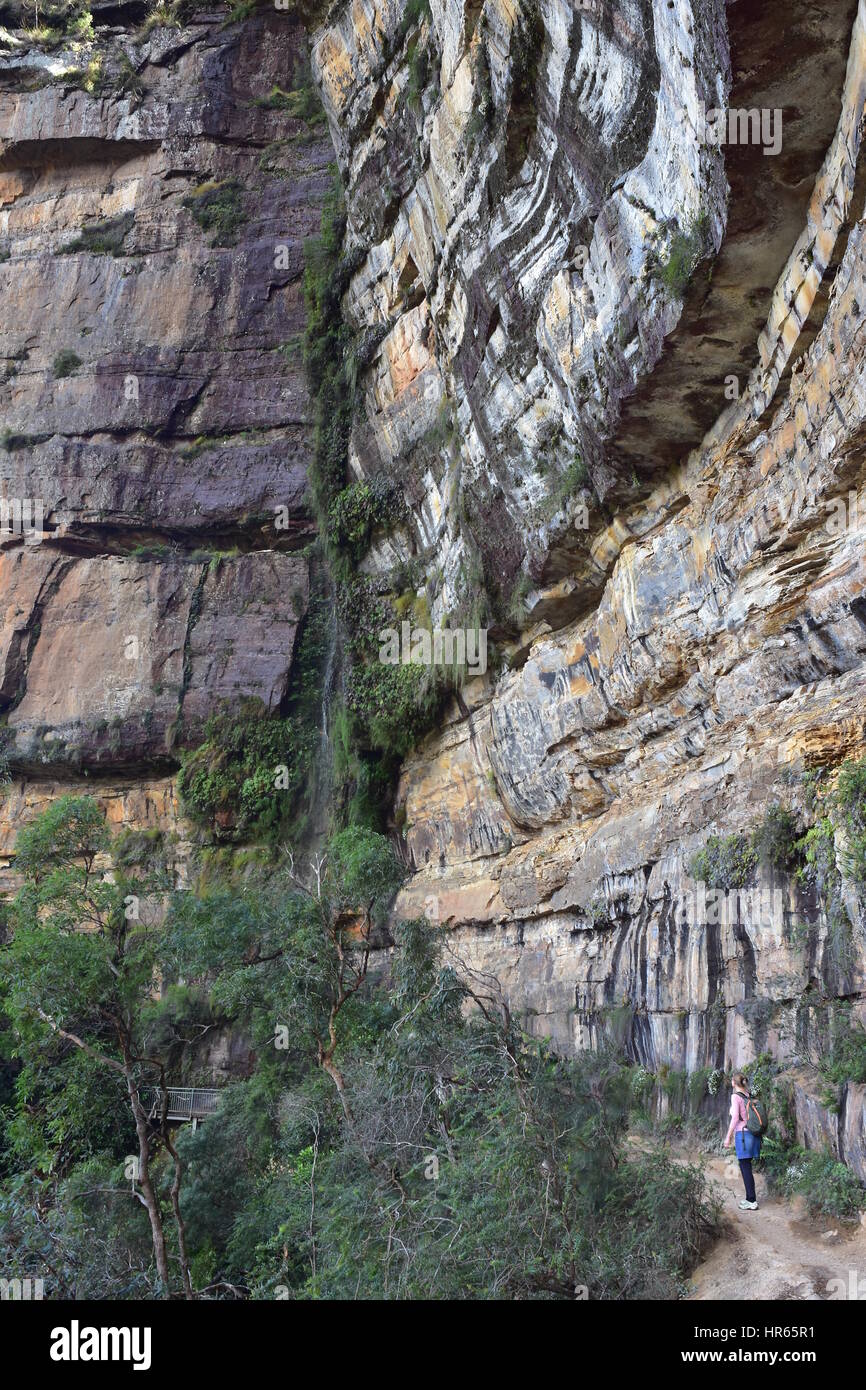 Female hiker under tall rocky cliff in Blue Mountains near Katoomba ...