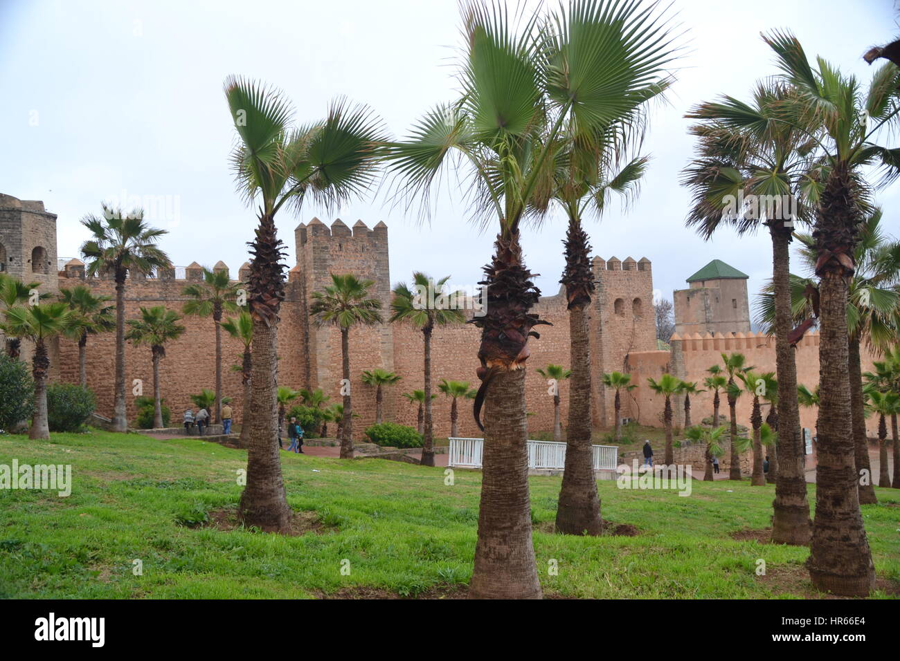 Terracota wall and palm trees on a grass at main gate to Kasbah of the ...