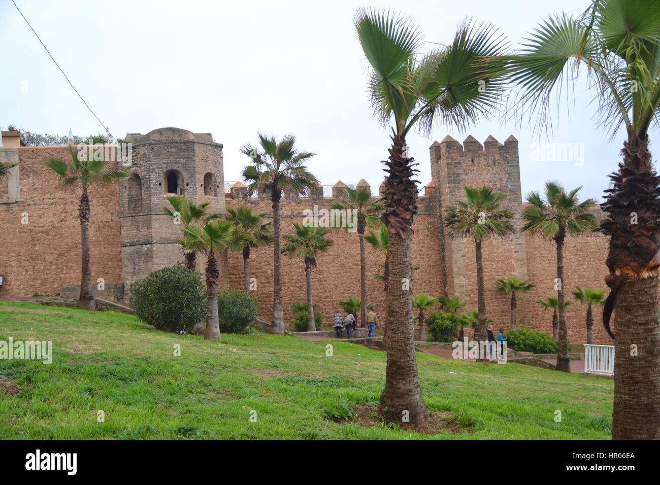 Terracota wall and palm trees on a grass at main gate to Kasbah of the ...