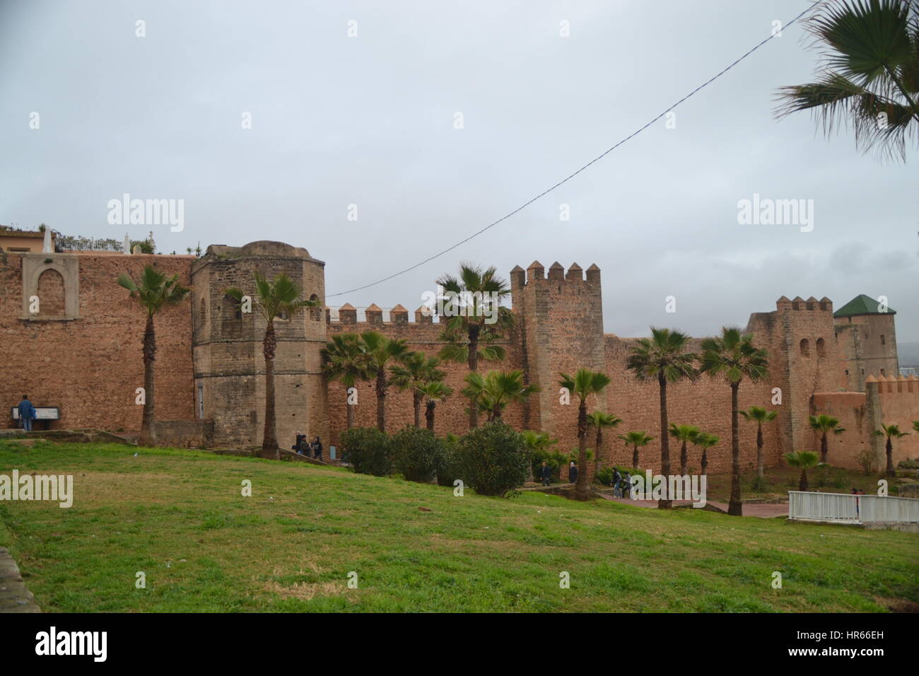 Terracota wall and palm trees on a grass at main gate to Kasbah of the ...
