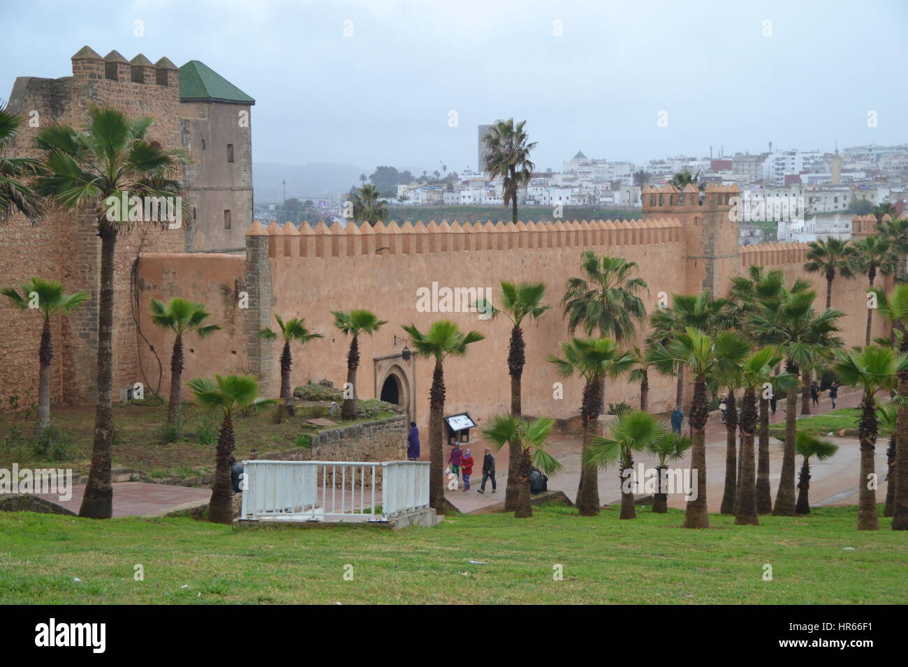 Terracota wall and palm trees on a grass at main gate to Kasbah of the ...