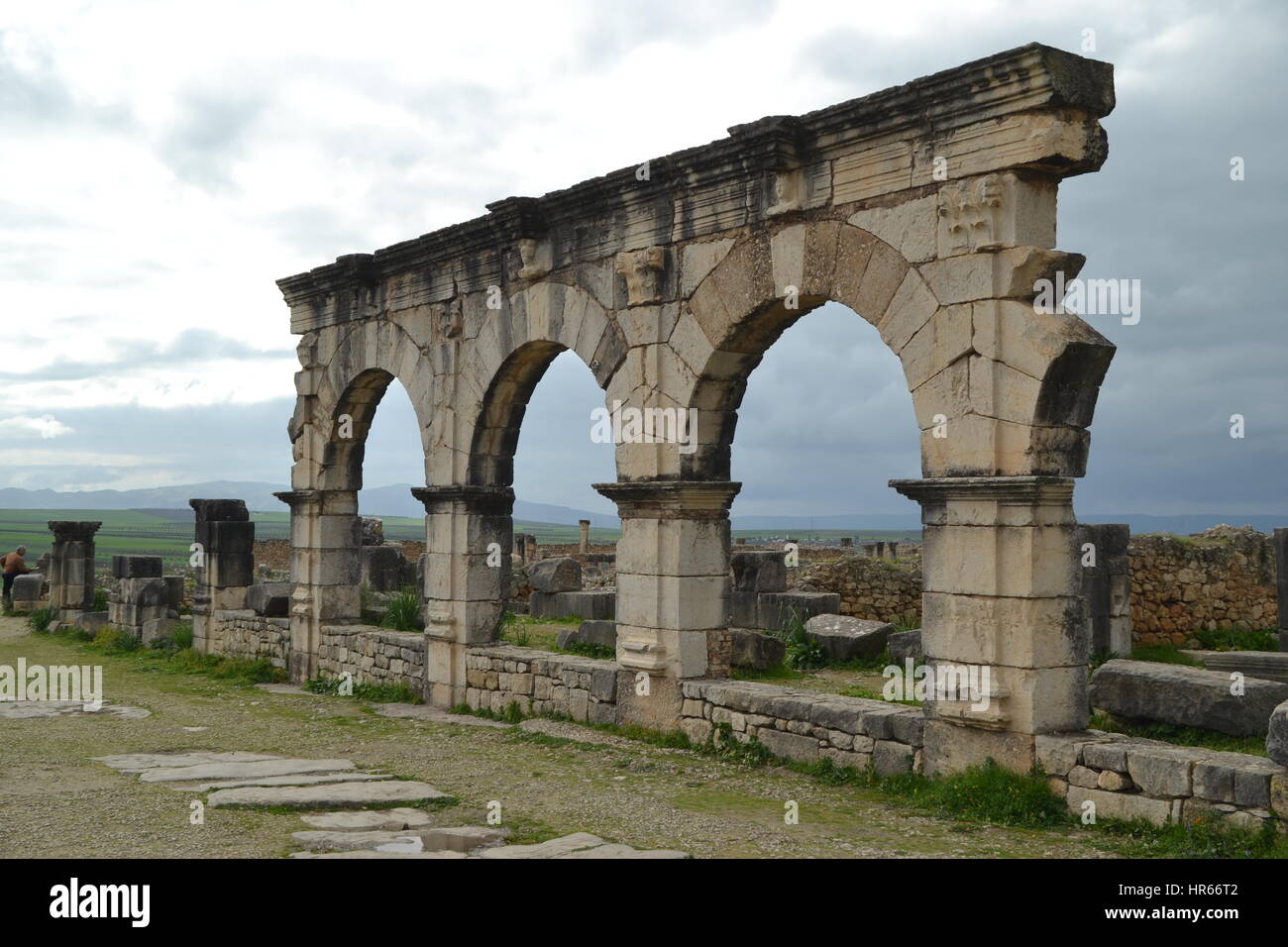 Tingis hi-res stock photography and images - Alamy