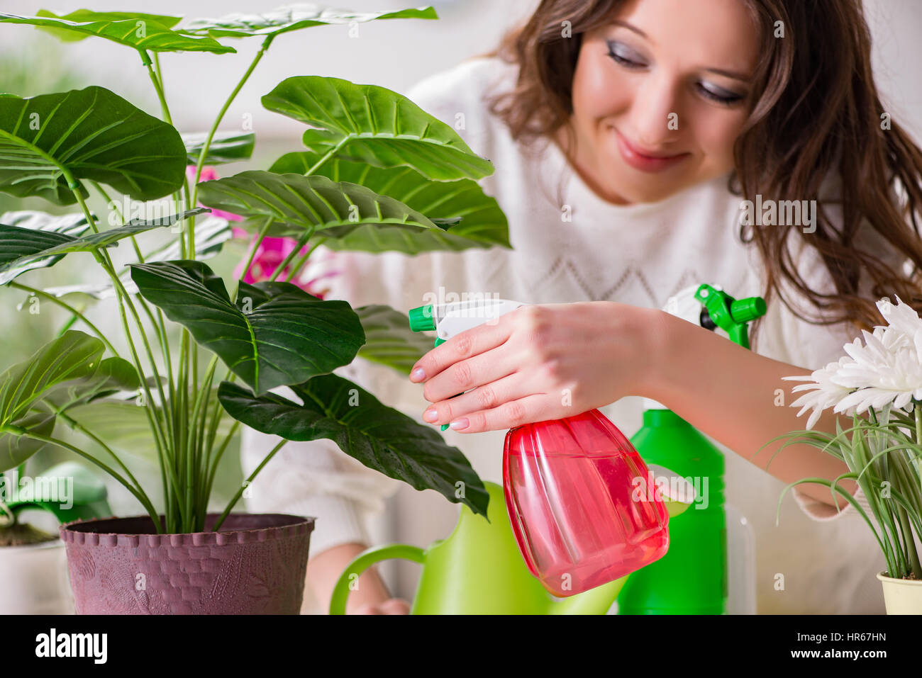 Young woman looking after plants at home Stock Photo - Alamy