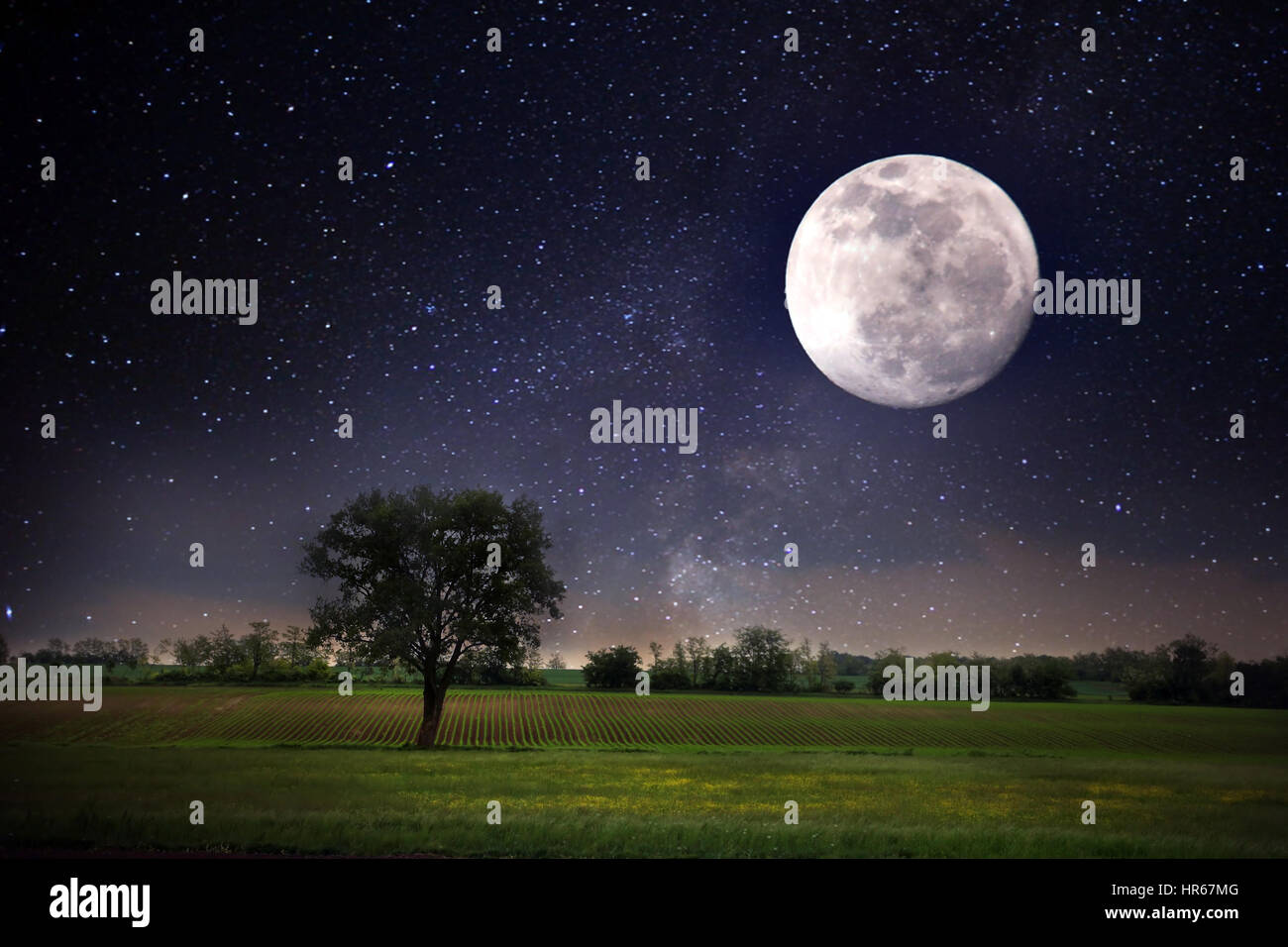 Super moon and tree Stock Photo - Alamy