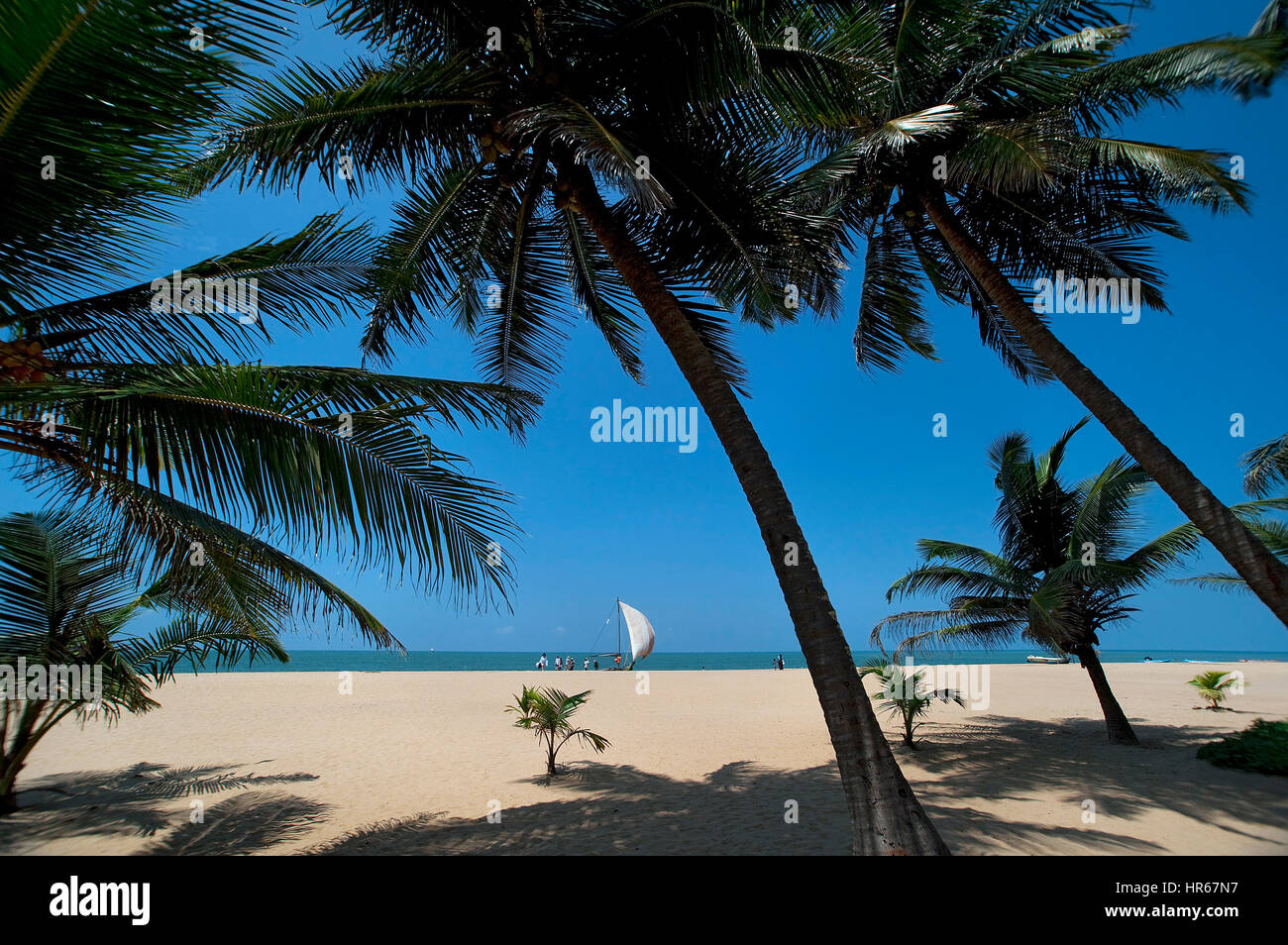 Negombo Beach, Sri Lanka Stock Photo - Alamy