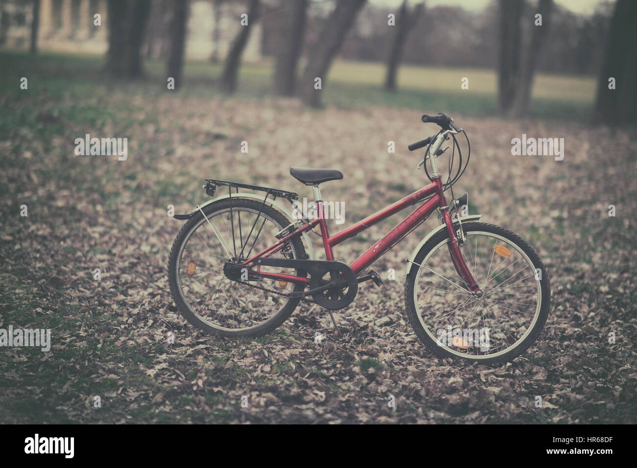 Old elegant bike hi-res stock photography and images - Alamy