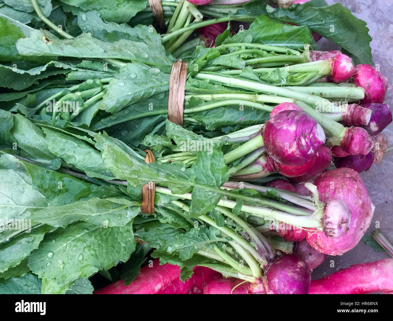 Fresh Turnips on market display Stock Photo - Alamy