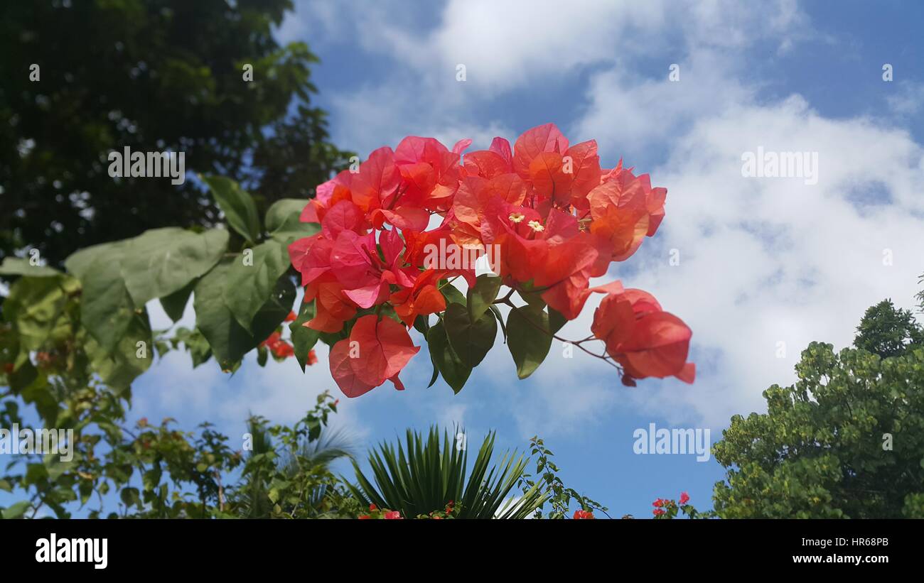 Punta Bunga beach Stock Photo - Alamy