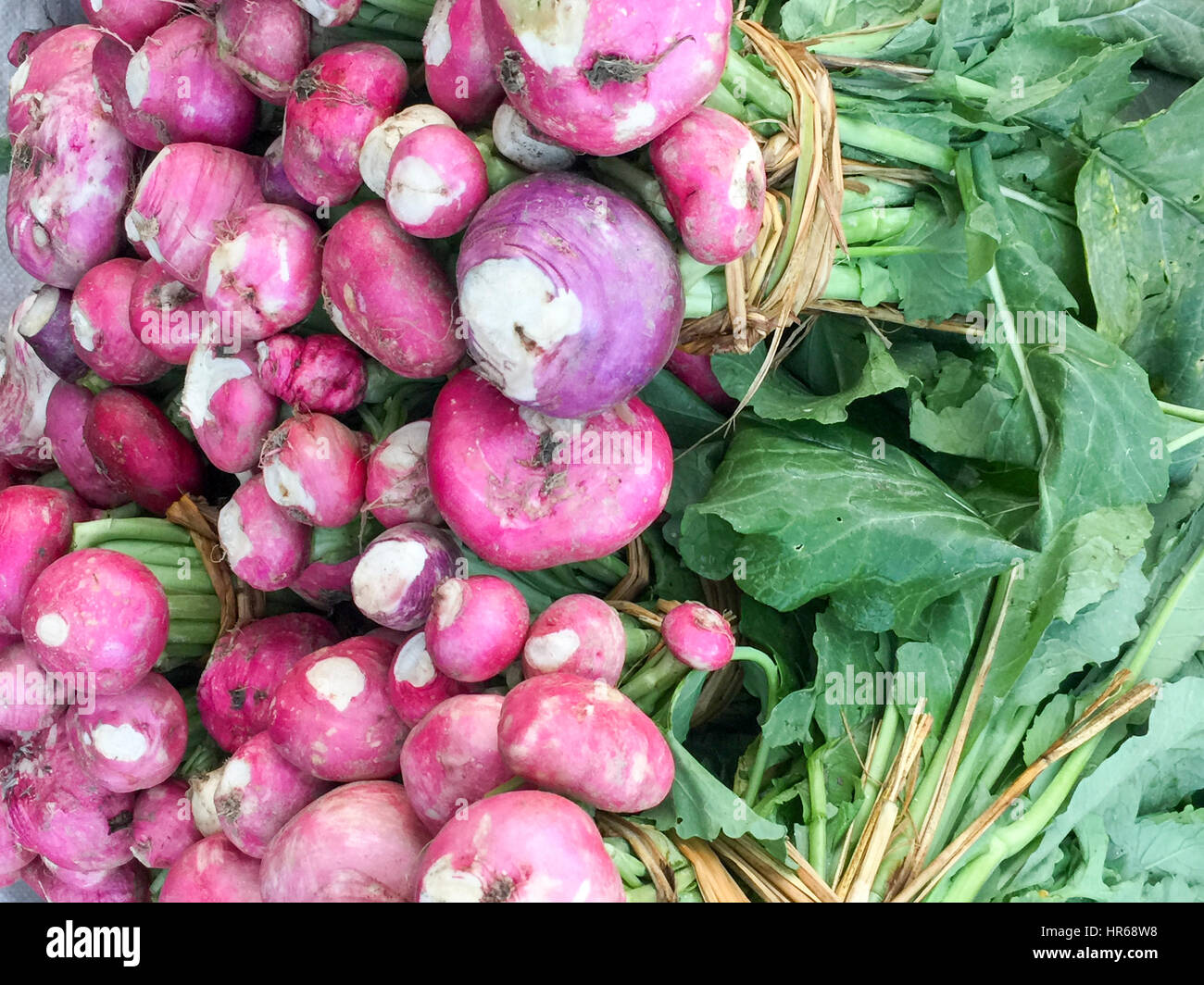 Fresh turnips hi-res stock photography and images - Alamy