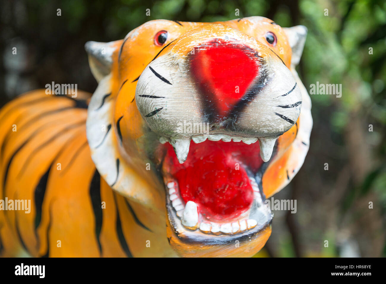 Tiger plaster is to protect Stock Photo - Alamy