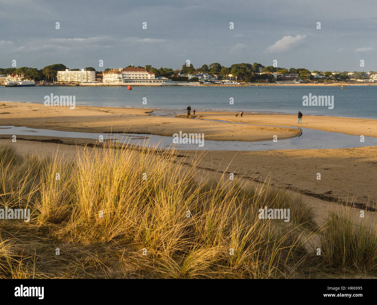 Studland Heath and Shell Bay Beach with Sandbanks background, Poole Bay ...